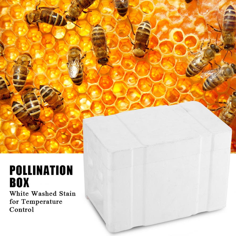 Foam Bee Mating Box with Grid Warmkeeping Waterproof Queen Breeding ...